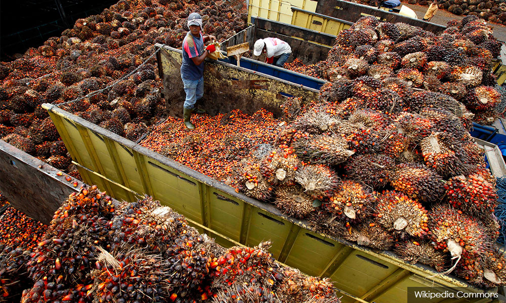 PORAM: A custodian of Malaysia's palm oil quality since 1975