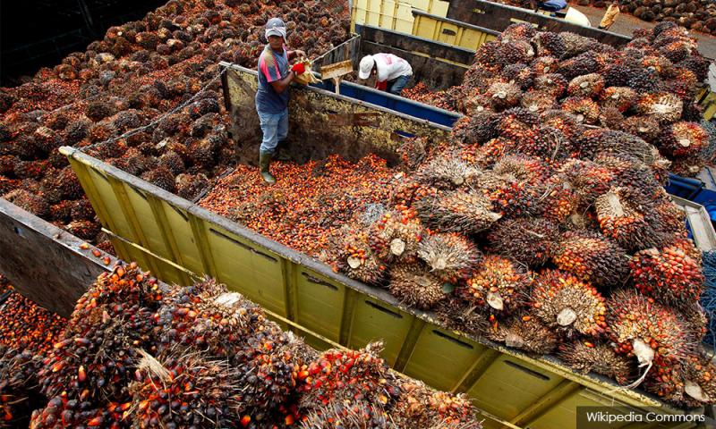 PORAM: A custodian of Malaysia's palm oil quality since 1975