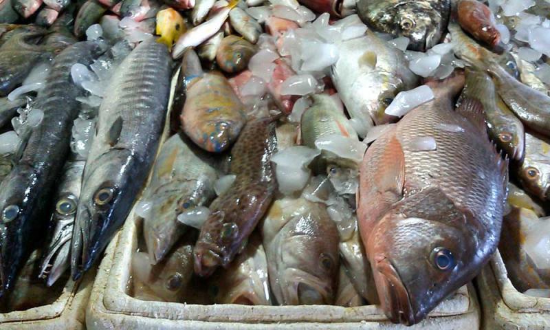 National fish supply exceeds demand - deputy minister