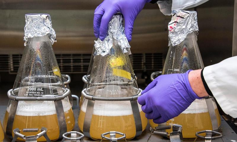 M'sia not threatened by Bill Gate's synthetic palm oil project