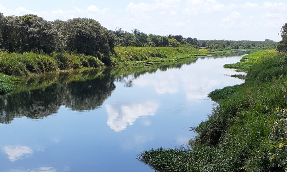 Cleaner water ways and rivers during MCO