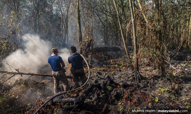 Malaysians Must Know the TRUTH: Fire razes almost 80 hectares of Kuala ...