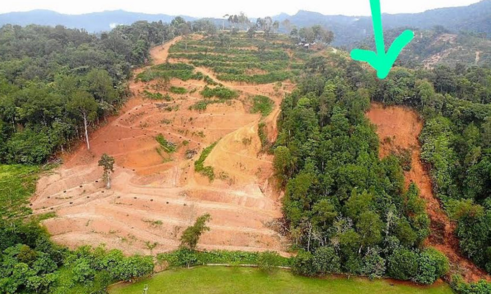 Hakisan tanah: MP ambil inisiatif sendiri, dakwa tiada tindakan k'jaan ...