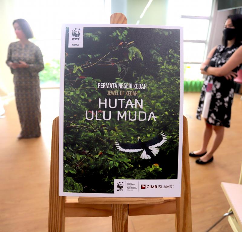 WWF-Malaysia launches ‘Jewel of Kedah: Ulu Muda Forest’ coffee table book