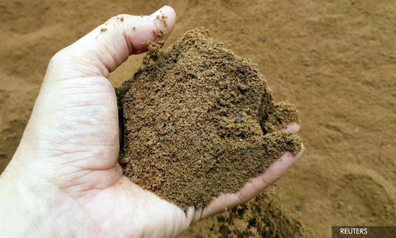 Govt may review palm kernel cake exports to secure chicken feed supply