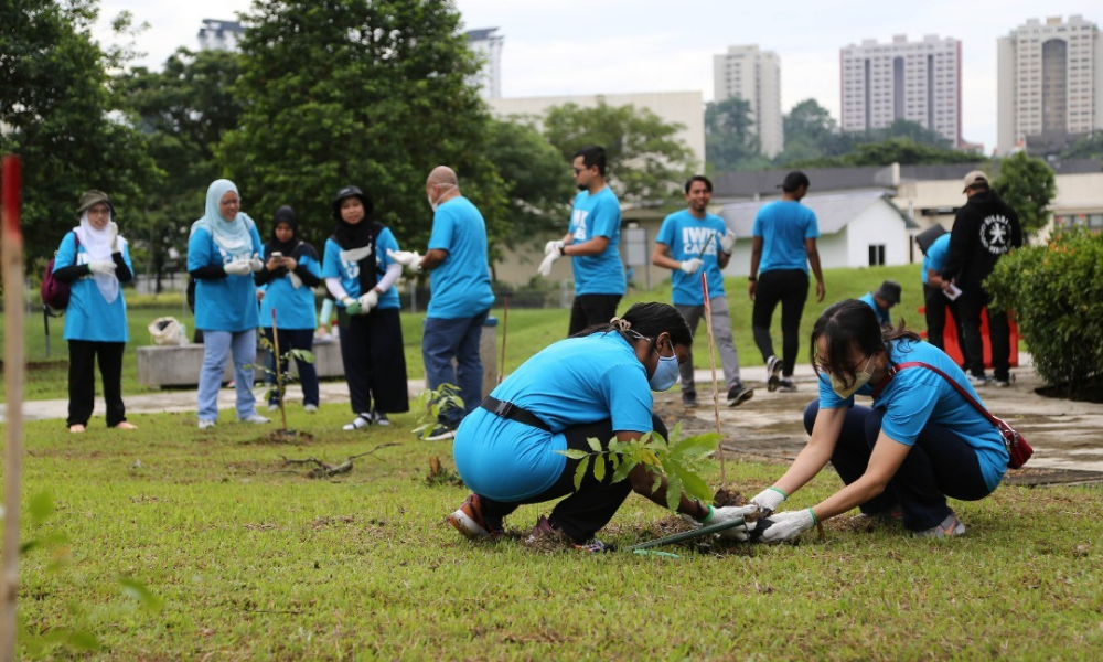 200 Pokok lagi ditanam untuk Khazanah Rimba IWK di Pantai Eco Park ...