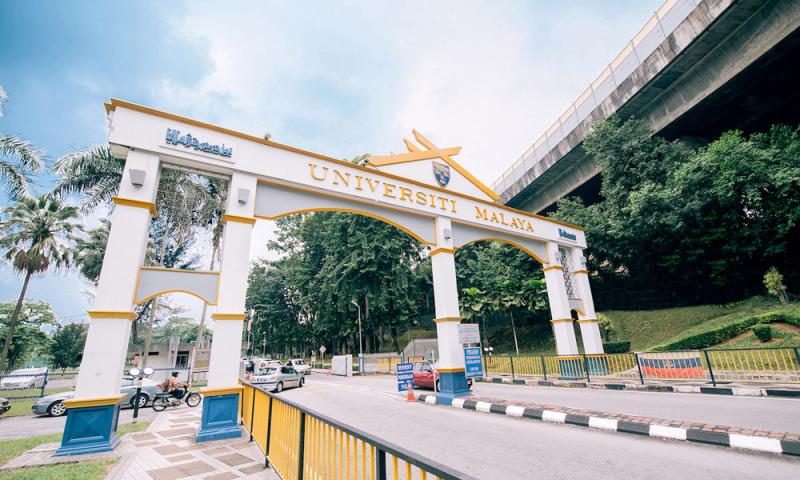 Lagi kes kucing, anjing mati: Siswa UM bangkitkan isu keselamatan