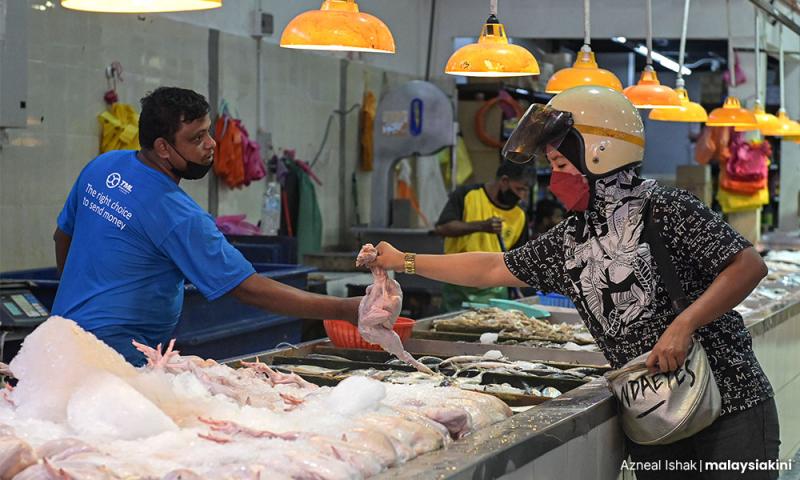 MP SPEAKS | Chicken export ban only caused importers to look elsewhere