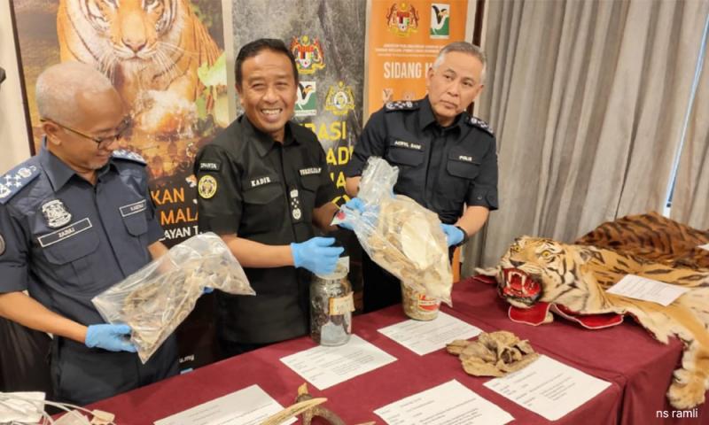 Malaysia terus jadi lokasi transit seludup tenggiling