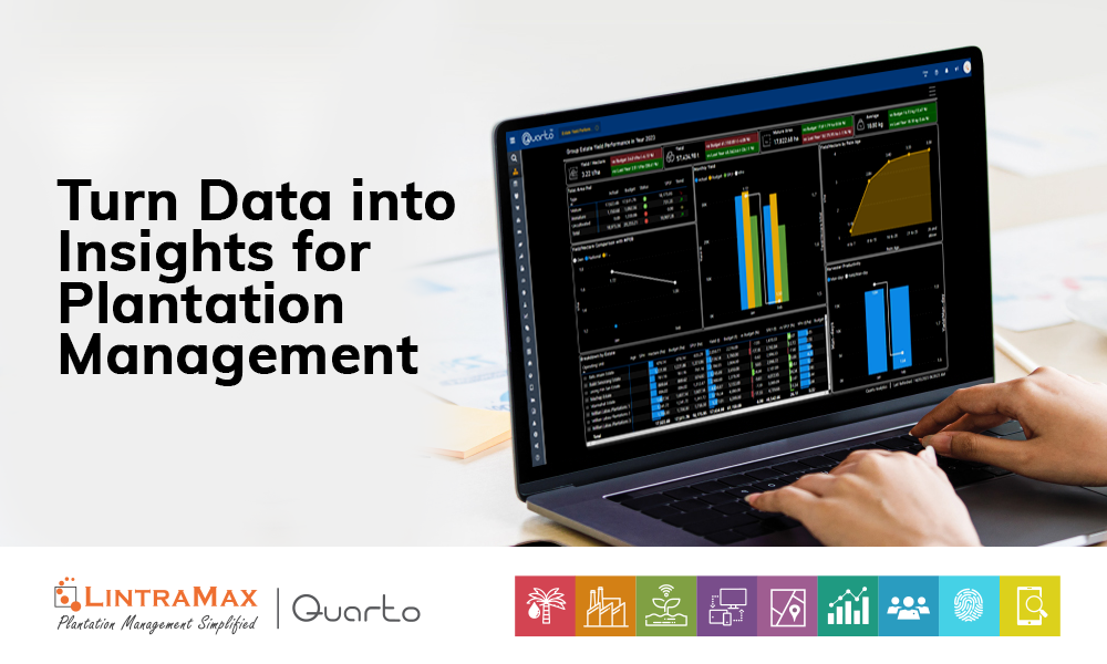 Turn Data into Insights for Plantation Management