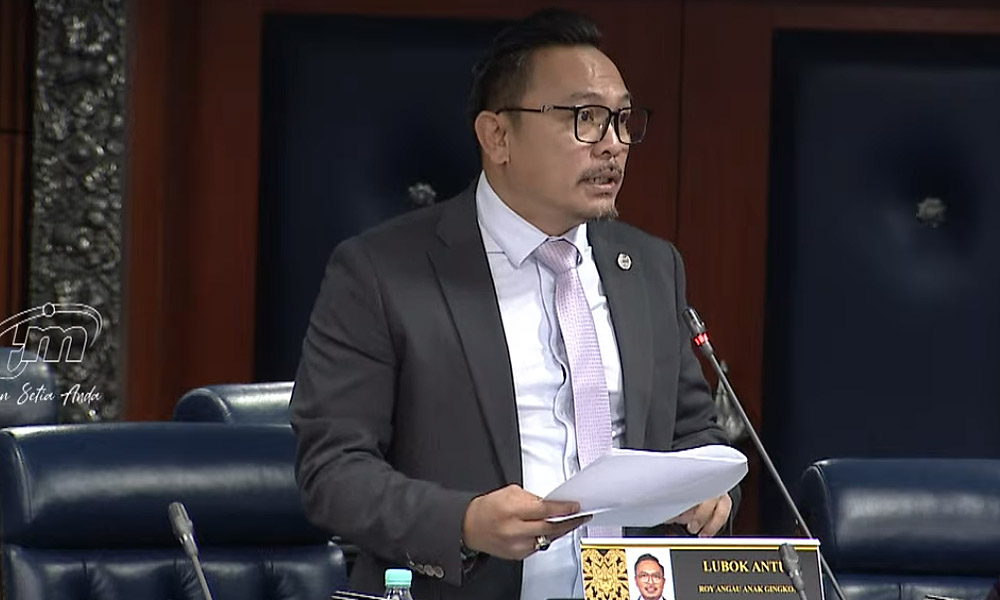 Stateless children: MP backs Sarawak’s call for autonomy to grant ...