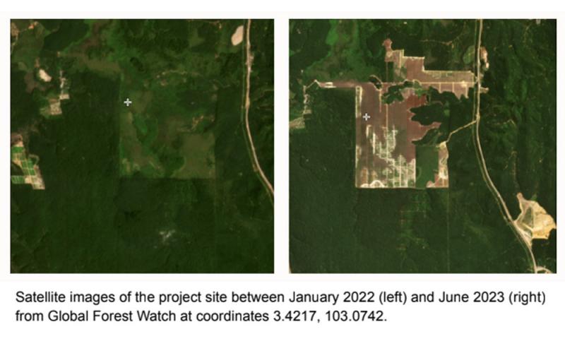 RimbaWatch questions peat swamp forests clearing in Pahang