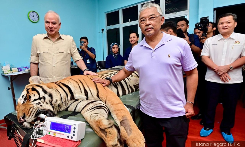 Agong, Sultan Perak melawat pusat menyelamat hidupan liar