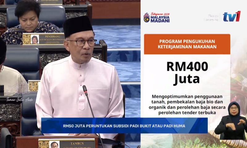 Subsidi, insentif RM2.6 bilion buat pesawah, nelayan