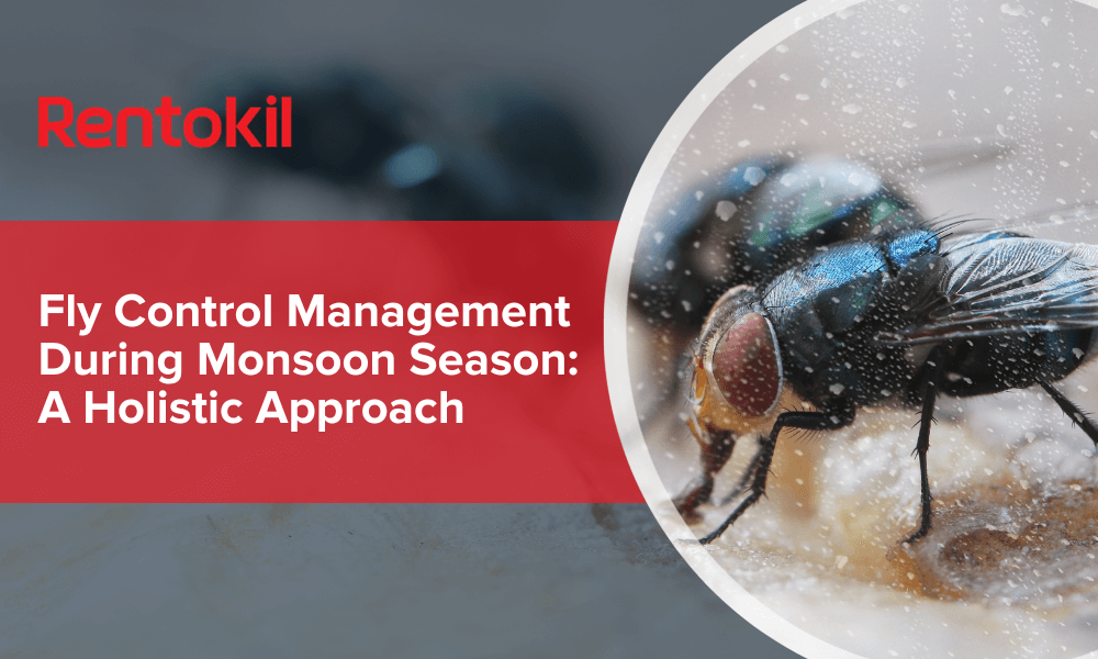 Fly Control Management During Monsoon Season: A Holistic Approach