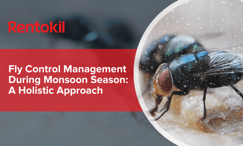 Fly Control Management During Monsoon Season: A Holistic Approach