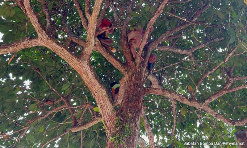 Four farmers survive K'tan floods by clinging onto tree