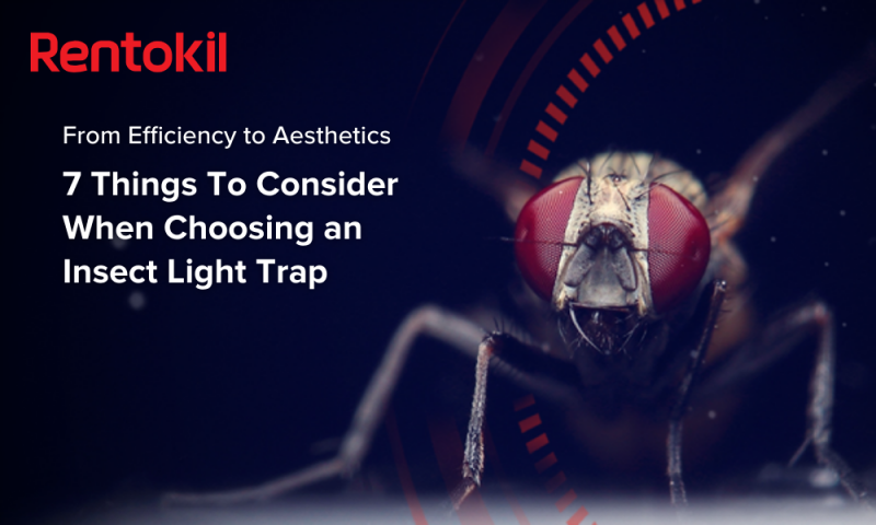 7 Things to Consider When Choosing An Insect Light Trap