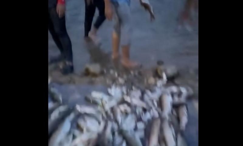 Kes bom ikan di Gerik: Jabatan Perikanan lengkapkan siasatan