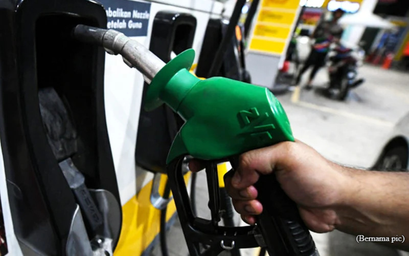 Government Urged to Swiftly Implement Targeted Subsidy Plan to Counter ...