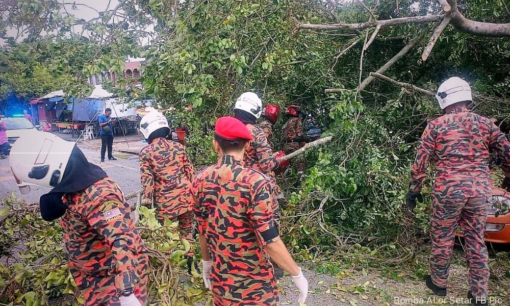 Dua terperangkap, kereta dihempap pokok di Alor Setar