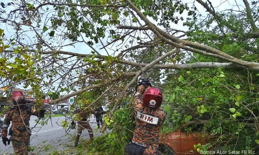 Dua terperangkap, kereta dihempap pokok di Alor Setar