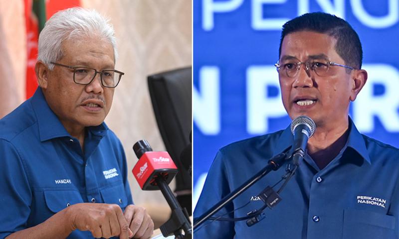 Bersatu's unity formula: Hamzah as No 2, Azmin as sec-gen