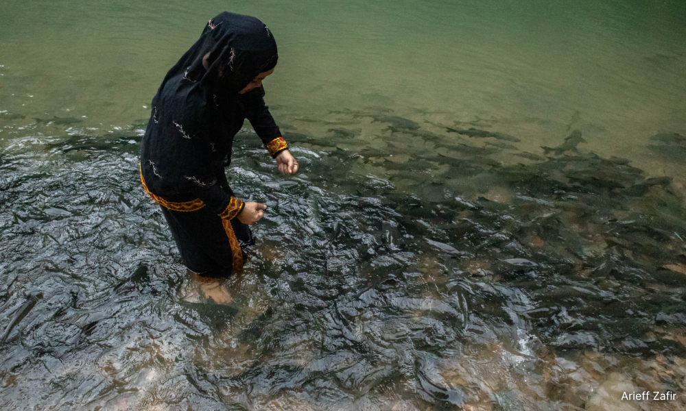 Locals empowered to protect Sabah rivers now reap aquatic bounty