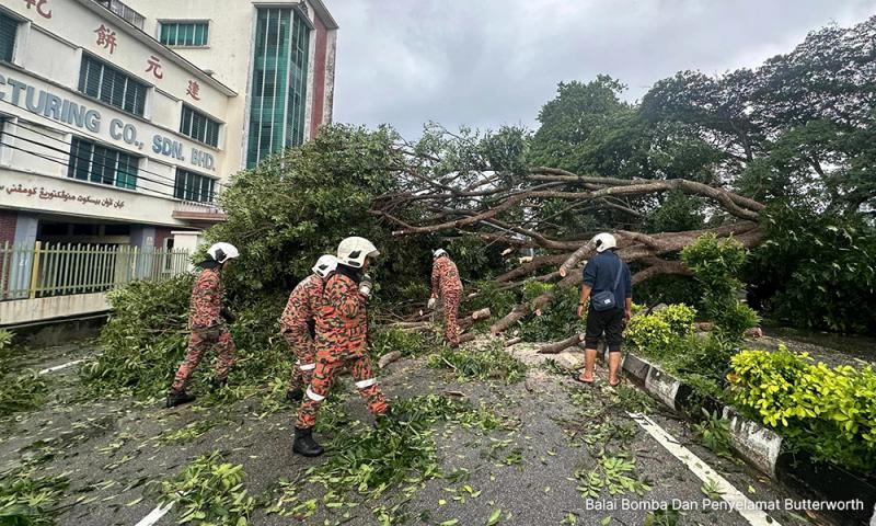 Storm uproots trees, causes flash floods in Penang