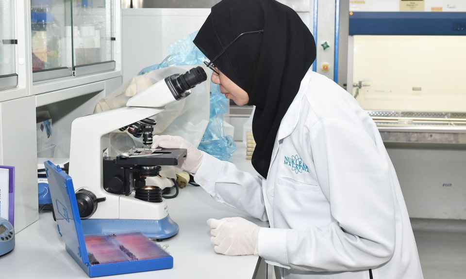 Kelestarian Teknologi Nuklear Untuk Kegunaan Aman Di Malaysia