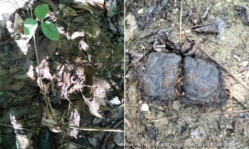 EIA syor lulus perlombongan emas di Kelantan walaupun risiko banjir