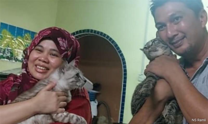 Dilema penjaga kucing terbuang: Ditelan pahit, dibuang tak gamak